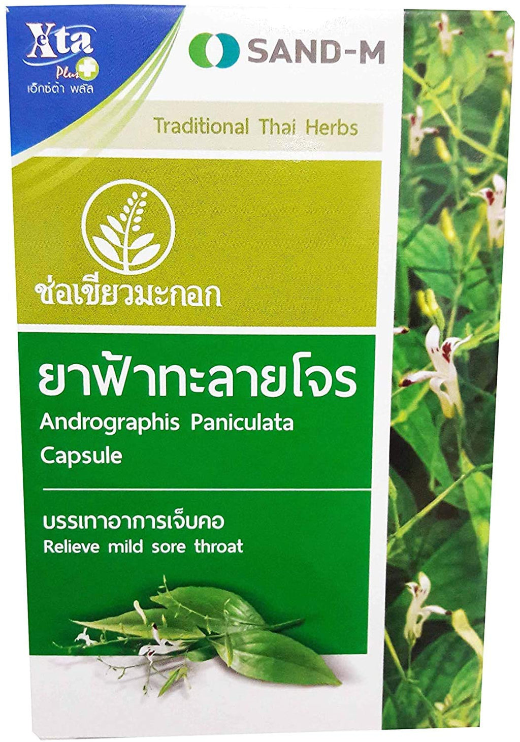 traditional Thai herb andrographis paniculata