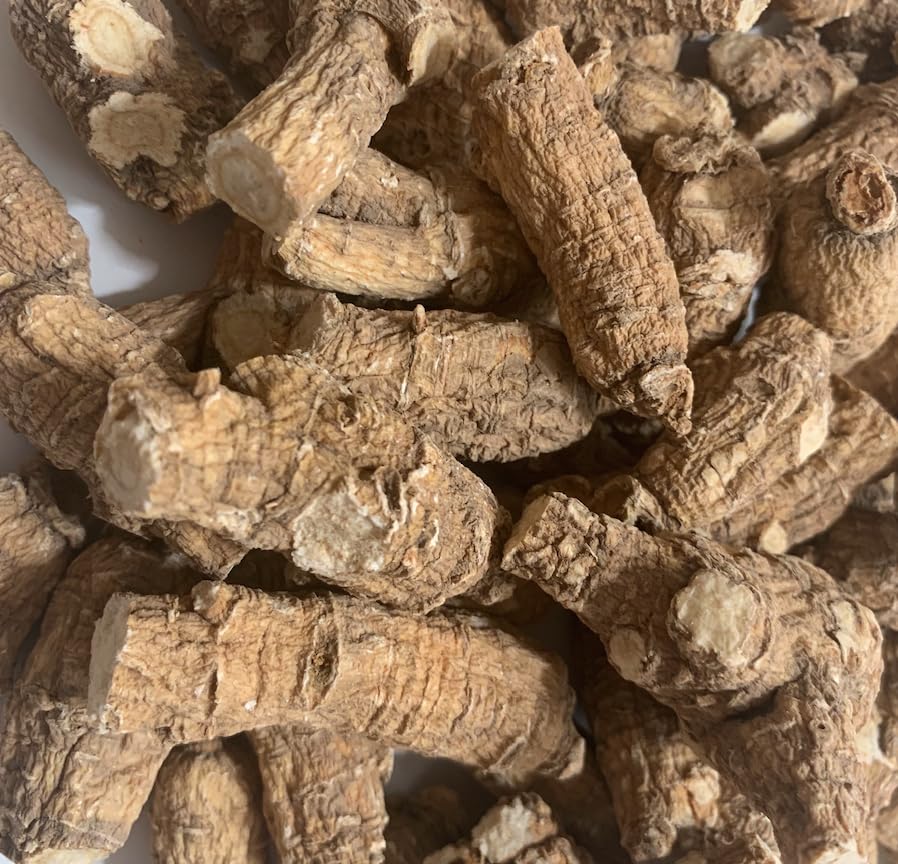 traditional use of wild ginseng