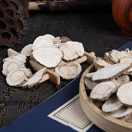 traditional uses of angelica root