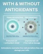 Trans Resveratrol Quercetin capsules for wellness