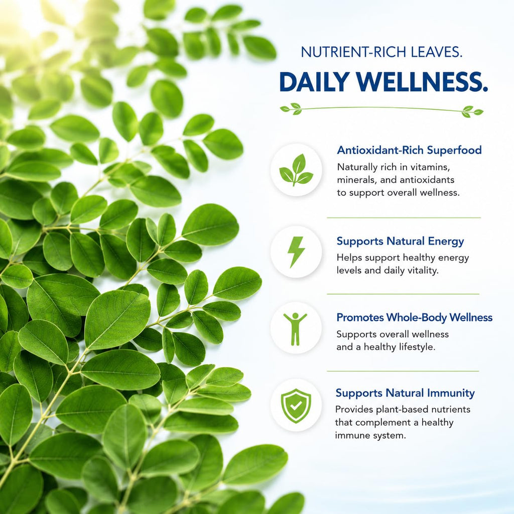Transfer Point Moringa for daily nutrition