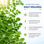 Transfer Point Moringa for daily nutrition