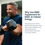 Transparent Labs vitamin B12 support