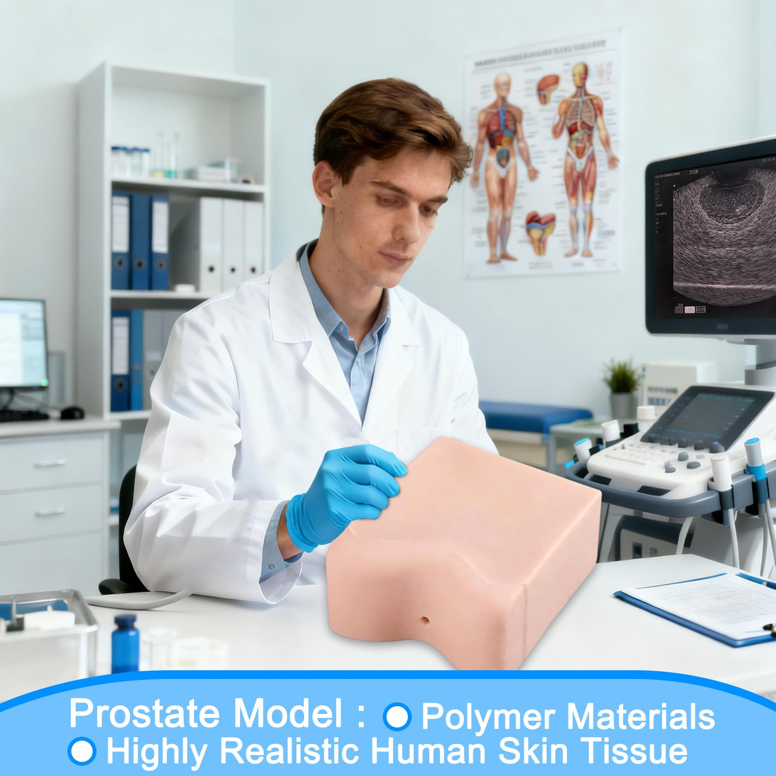 transperineal biopsy training model