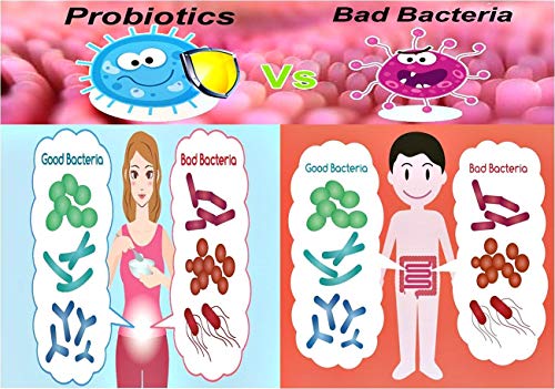 travel-friendly probiotic capsules