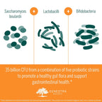Travel-friendly probiotics for immunity