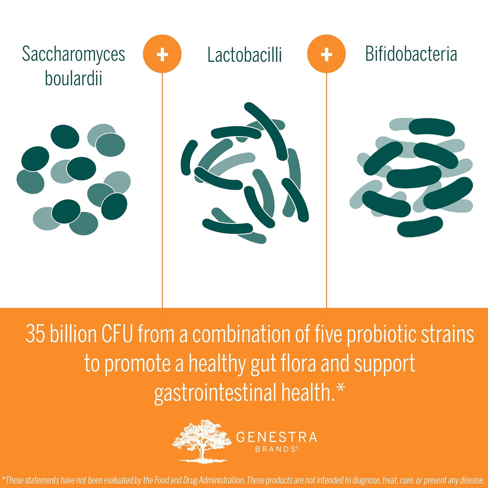 Travel-friendly probiotics for immunity