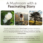 Tremella mushroom for enhanced brain function