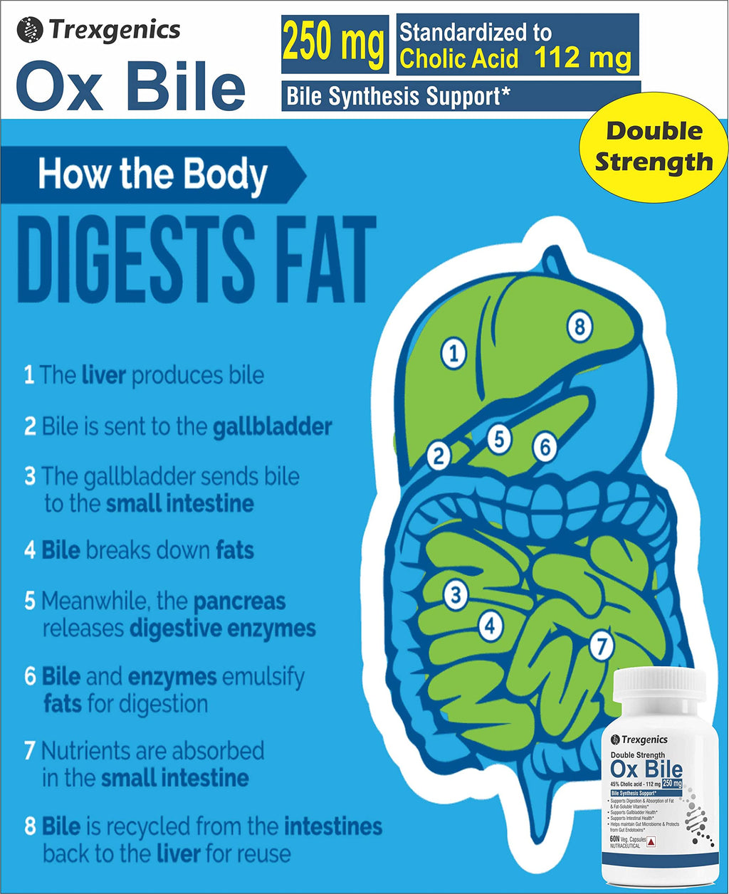 Trexgenics OX Bile for optimal digestion