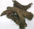 TRH Jatamasi herbal supplements benefits