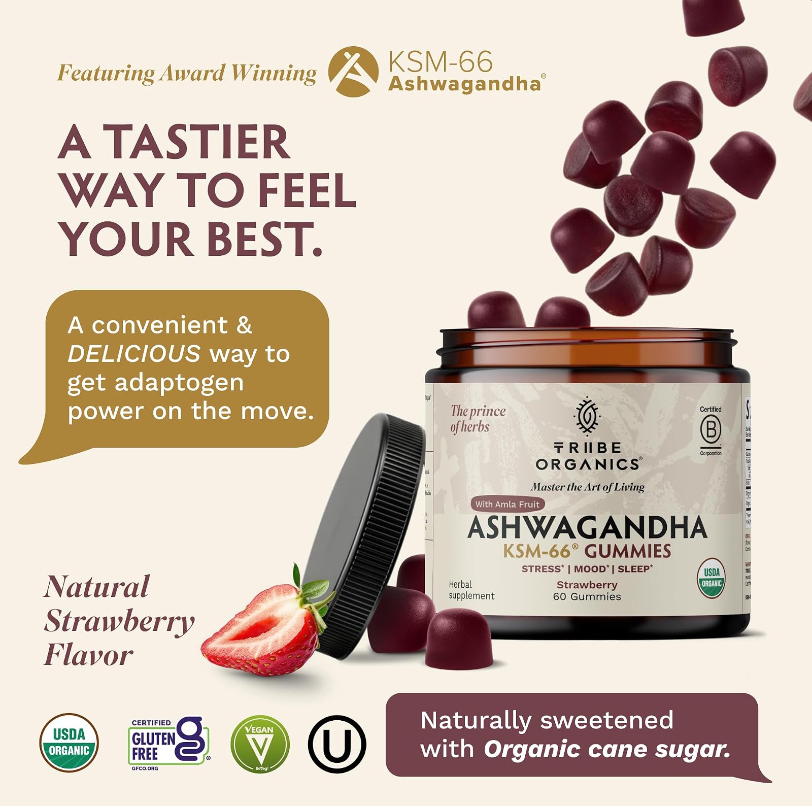 TRIBE ORGANICS ashwagandha KSM-66 benefits
