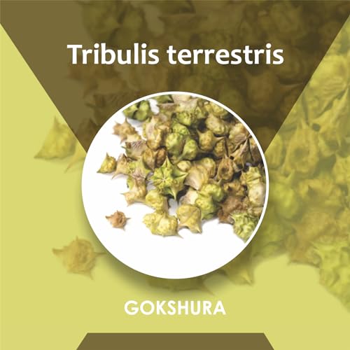tribulus benefits for male health