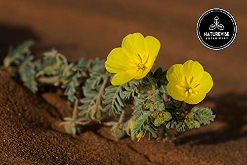 tribulus powder for muscle support