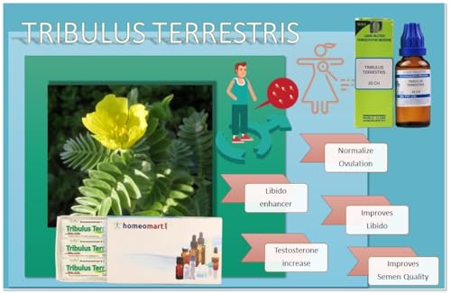 tribulus supplement for active lifestyle