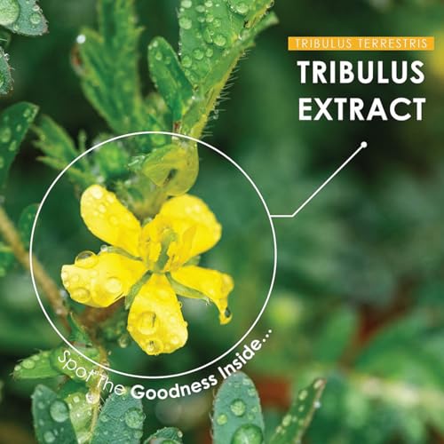 tribulus supplement for active lifestyle