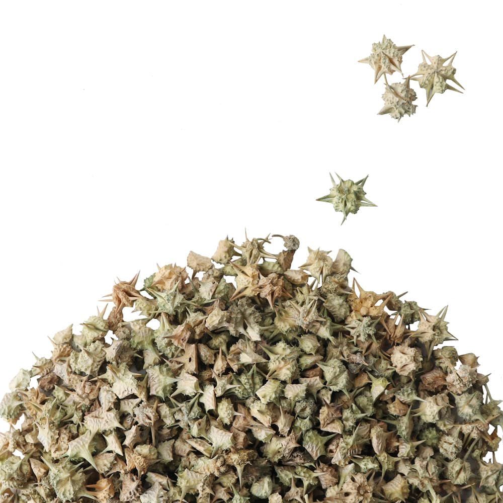 tribulus terrestris bulk herbs