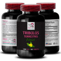 tribulus terrestris extract for men
