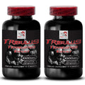 tribulus terrestris extract for strength