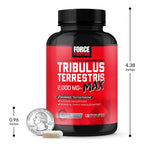 Tribulus Terrestris for improved endurance