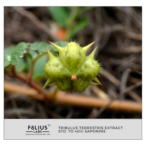 tribulus terrestris for overall health