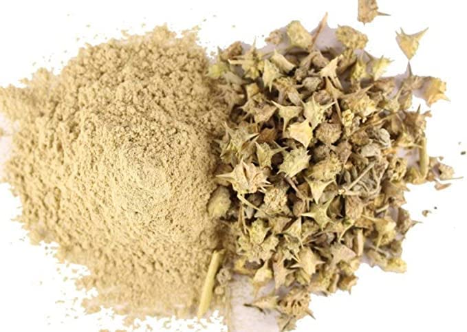 tribulus terrestris powder for vitality