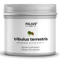 tribulus terrestris supplement for energy