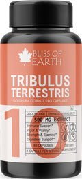 tribulus terrestris supplement for energy