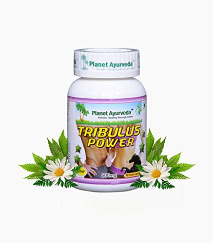 tribulus terrestris supplement for men