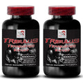 tribulus terrestris supplement for stamina