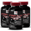tribulus terrestris supplement for stamina