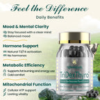 TriDexThyro multivitamin for men health