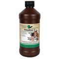 Triodine iodine tincture for antiseptic care