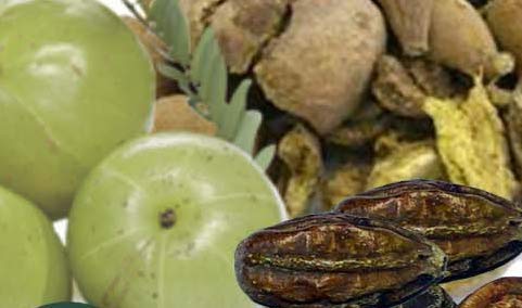 triphala capsules for detox support