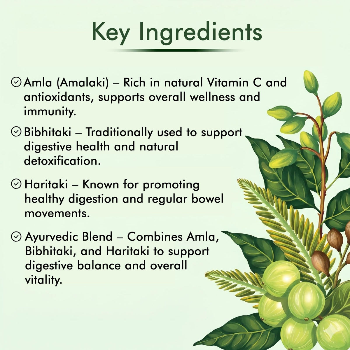 Triphala capsules for detoxification