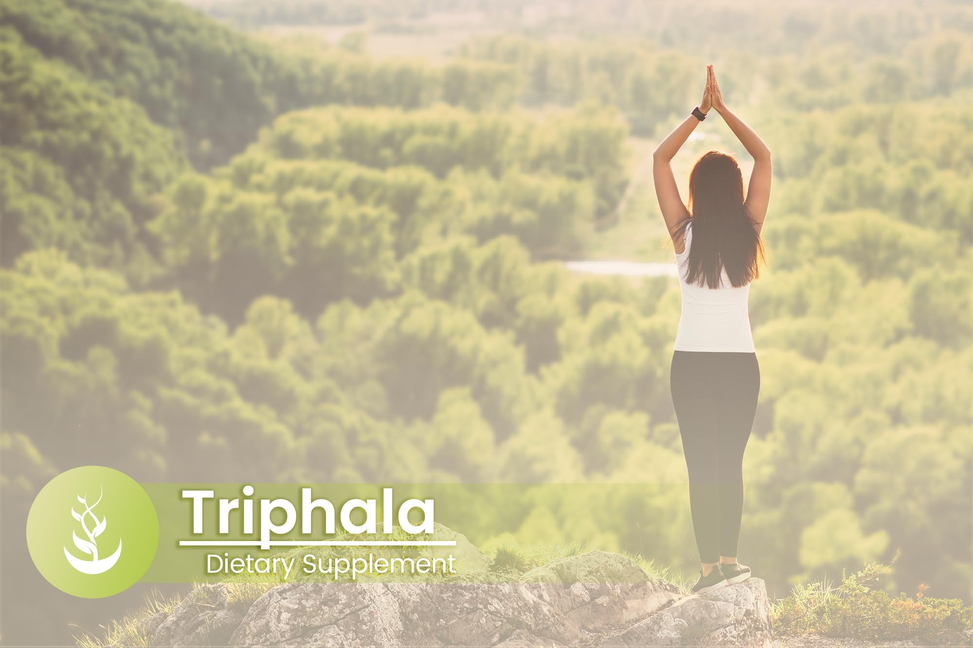 triphala churna for healthy digestion