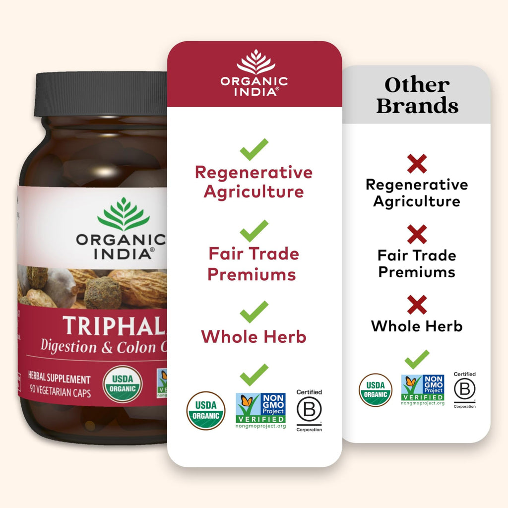 triphala churna for holistic health