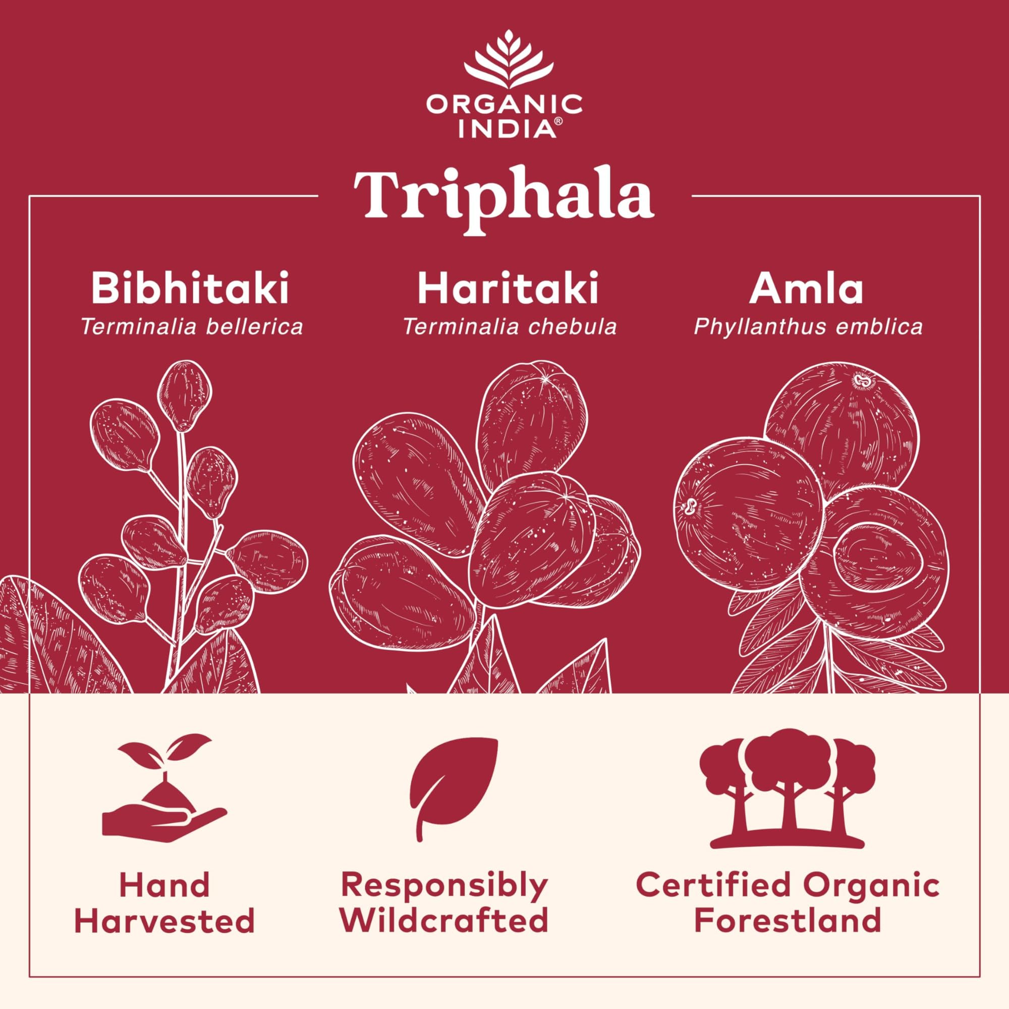 triphala tablets for daily wellness