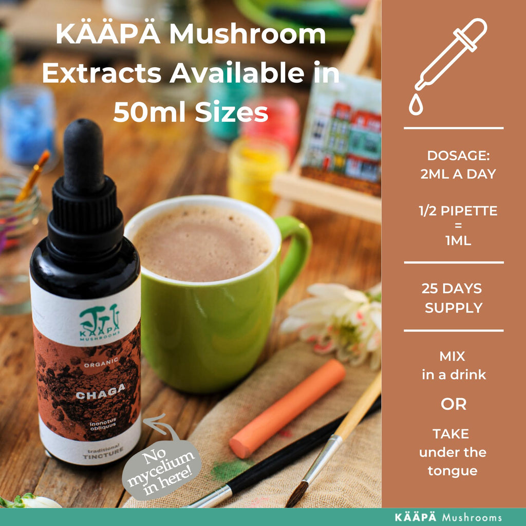 Triple extraction chaga mushroom tincture