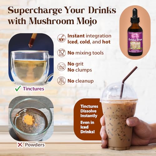 Triple extraction mushroom formula