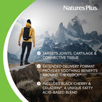 triple strength glucosamine formula