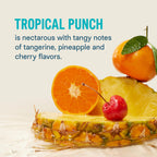 Tropical punch electrolyte powder for hydration