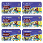 True Blueberry herbal tea bags