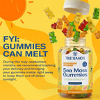 TrueSeaMoss gummy multivitamin for energy