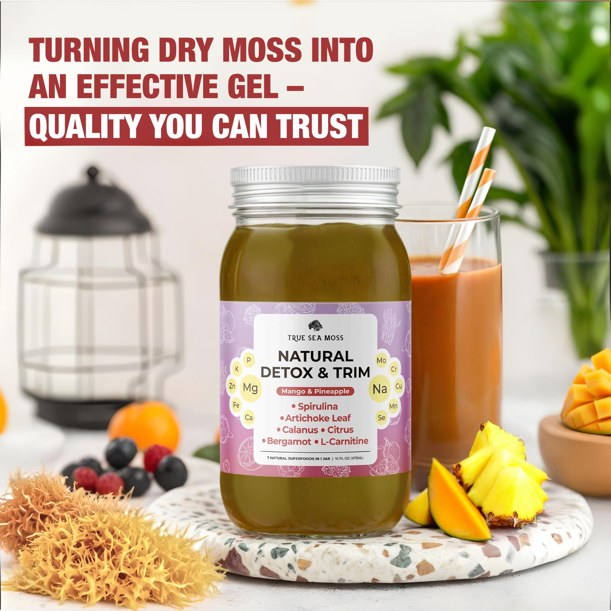 TrueSeaMoss Pro vegan health boost