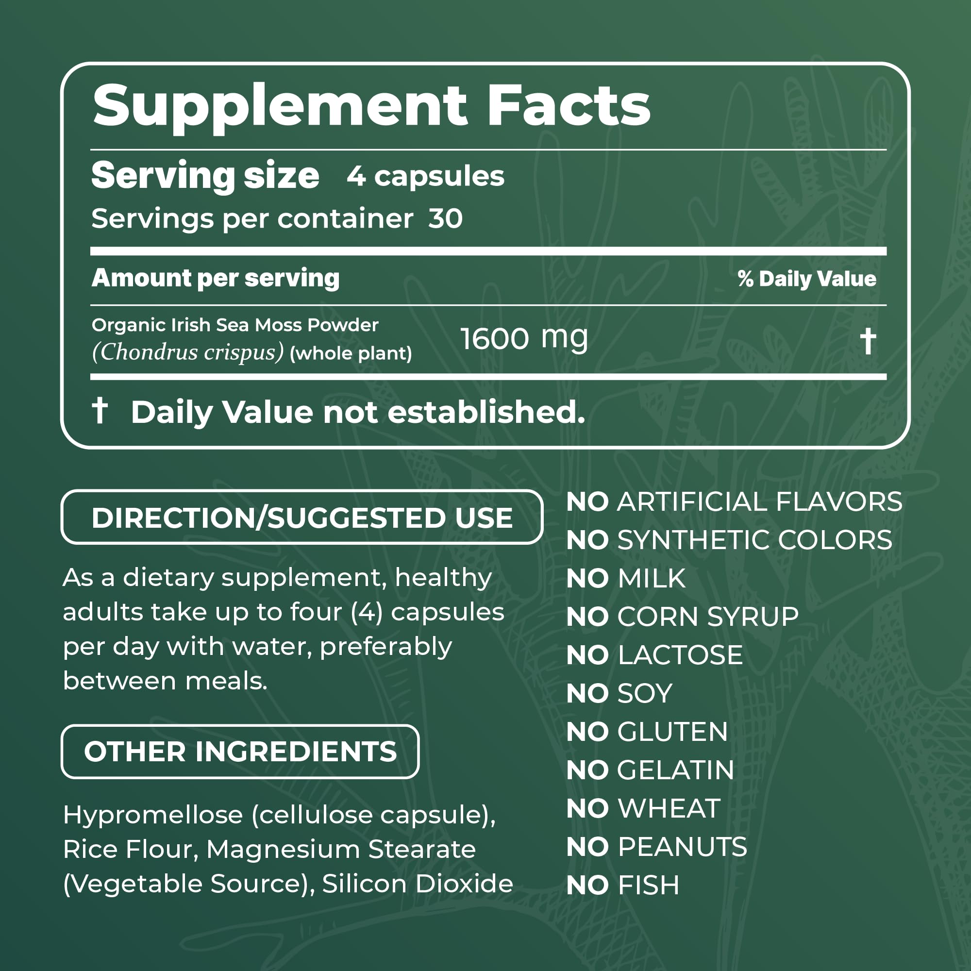 TrueSeaMoss sea moss for holistic health