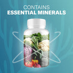 TrueSeaMoss sea moss gel alternative