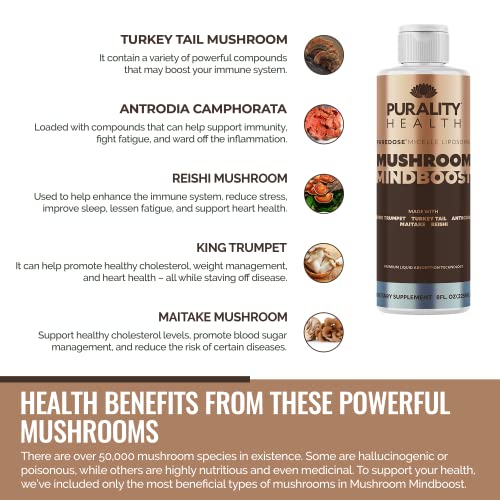 Trumpet mushroom cognitive enhancement