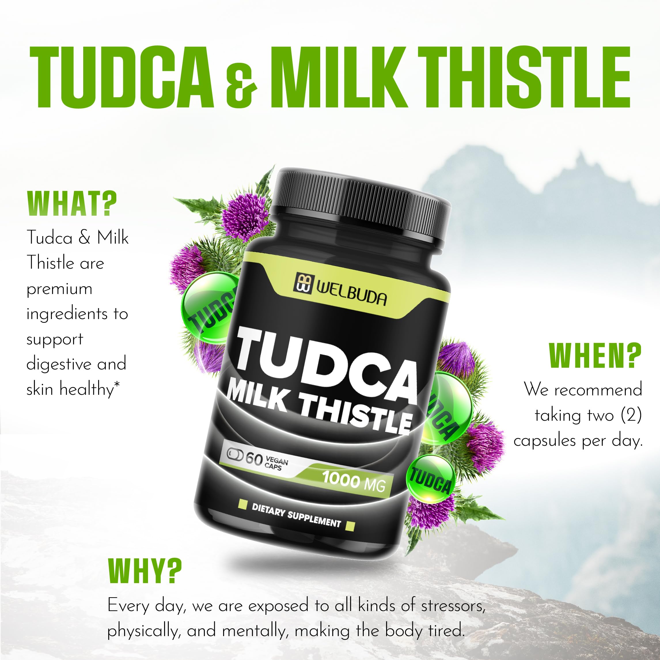 TUDCA and milk thistle for fatty liver