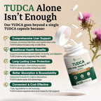TUDCA capsules for digestive wellness