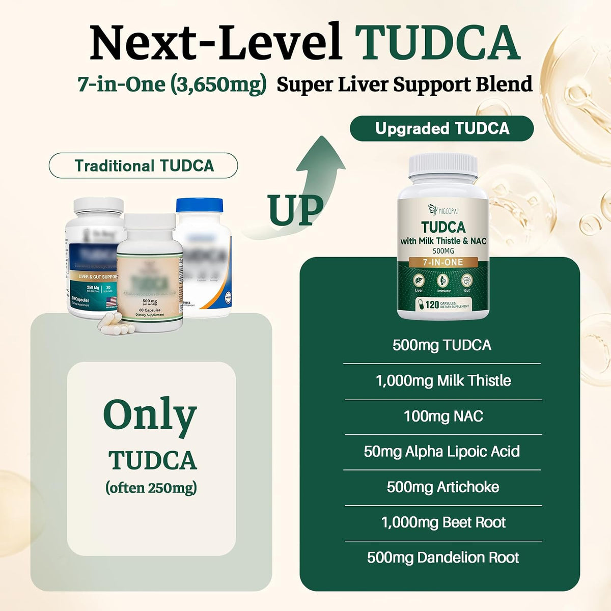 TUDCA capsules for digestive wellness